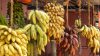 6 fruits mentioned in the Holy Quran and their benefits - Healthy ...