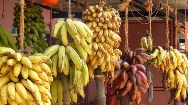 6 fruits mentioned in the Holy Quran and their benefits - Healthy ...