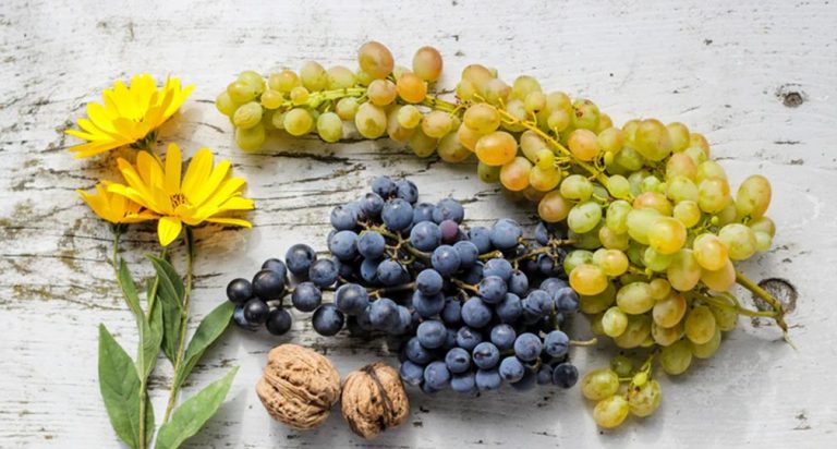 6 fruits mentioned in the Holy Quran and their benefits - Healthy ...